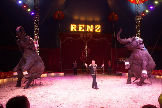 circus-online, programme