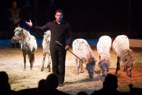 circus-online, programme